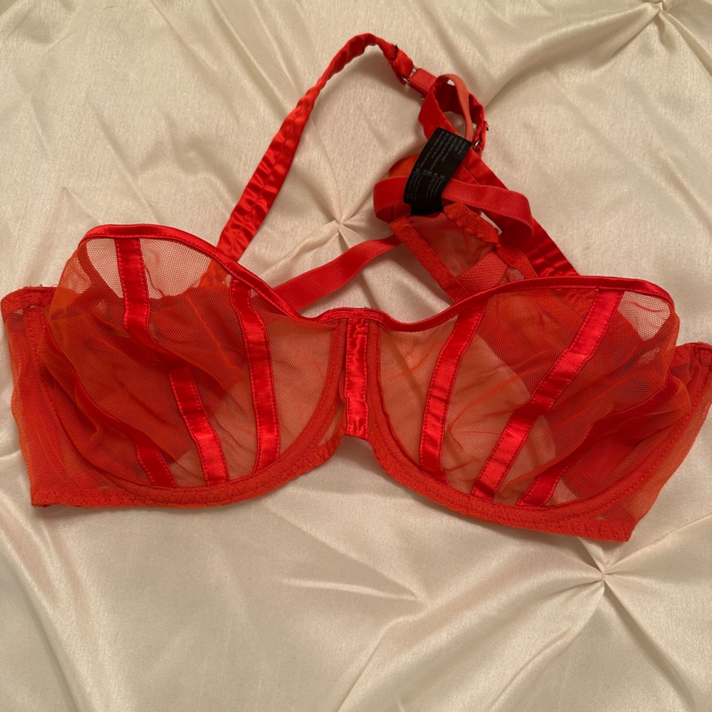 Implicit Red Sheer Underwire Bra - Gem